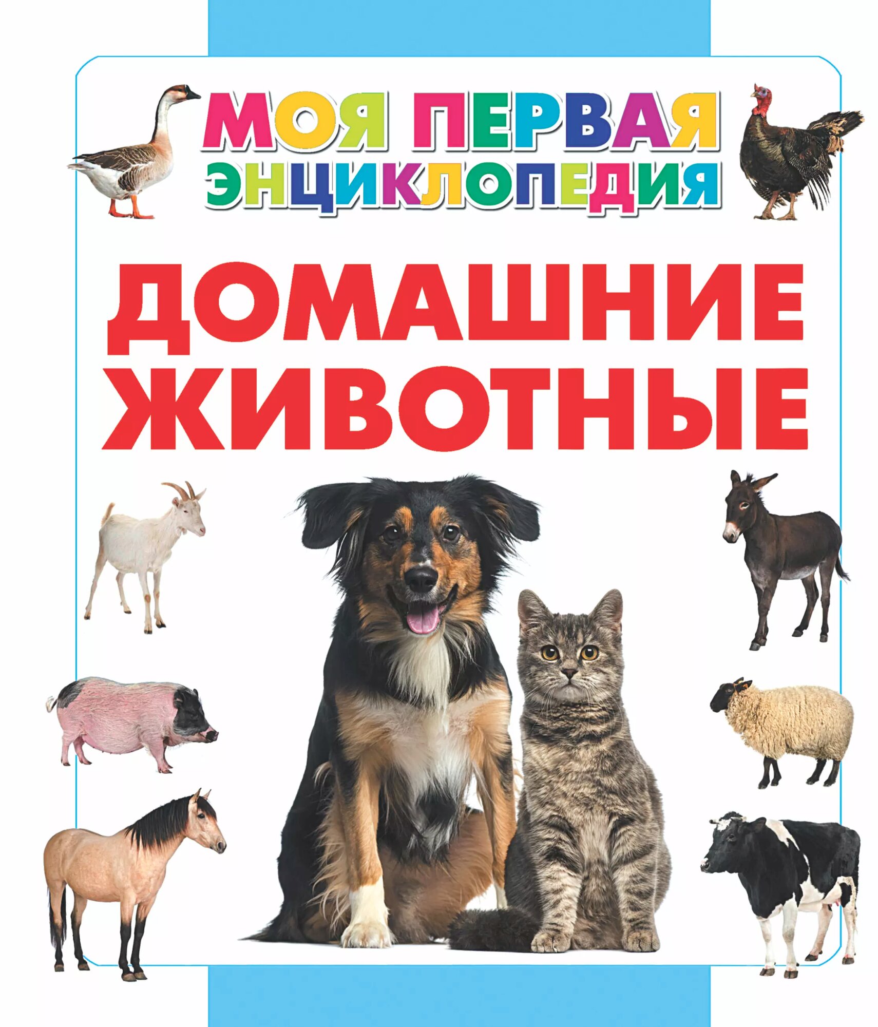 Домашние животные