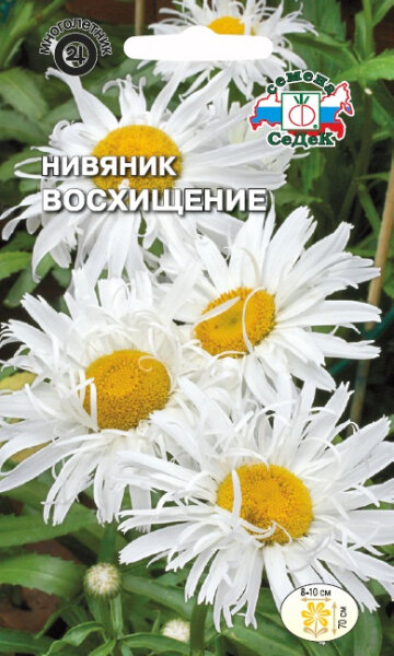 Нивяник Восхищение ( хризантемовидный, леукантемум) 0,1г. (Седек)