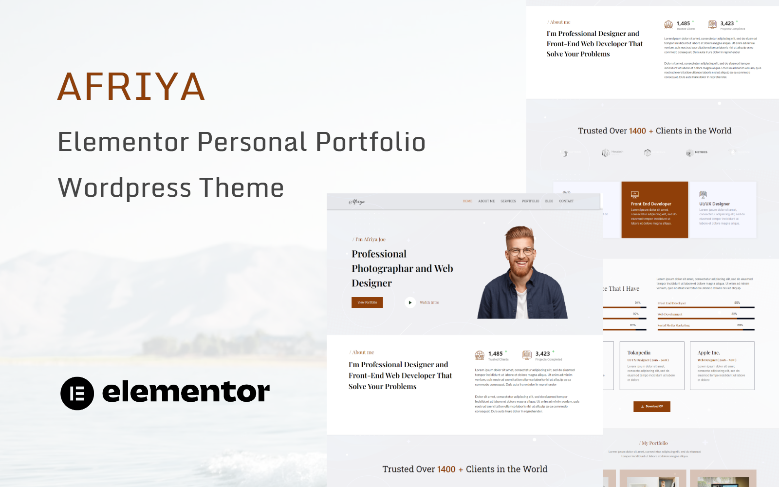 Подарочный сертификат на Шаблон для сайта Вордпресс с демоконтентом Afriya - Personal Portfolio, CV and Resume Theme WordPress