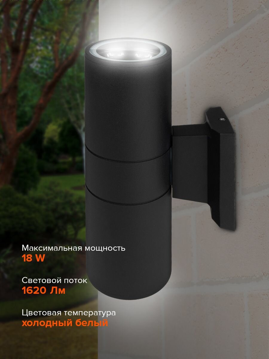 Светильник светодиодный уличный / интерьерный/ фасадный Jazzway PWL-26090/30D 2x5w 6500K BL IP65