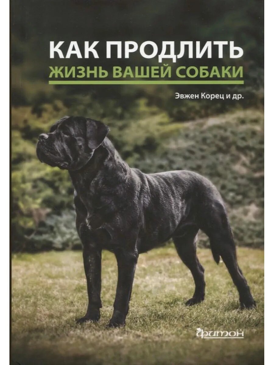 Как продлить жизнь вашей собаки