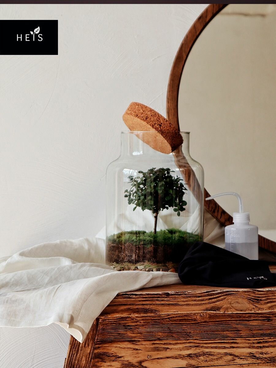 Флорариум стеклянный / экосистемы HEIS / Мирсина Classic L