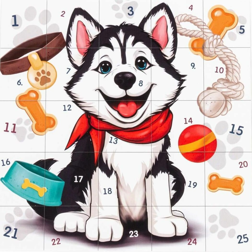 Игра пятнашки Щенок - 25 эл. 19х19 см / Полесье