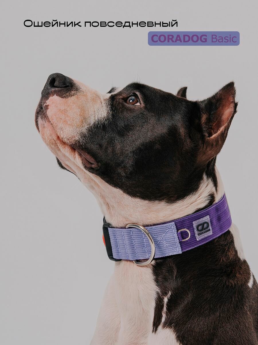 Ошейник широкий повседневный, CORADOG Basic, для средних и крупных собак, сиреневый фиолетовый, размер M-4 38-54 см