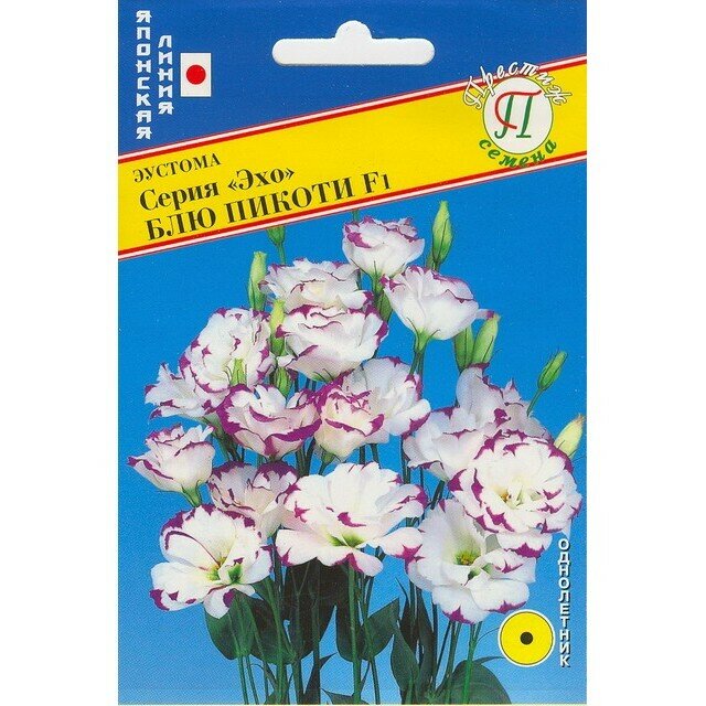 Эустома Престиж Эхо Блю Пикоти, однолетнее, высота 70см, диаметр цветка 6-7см