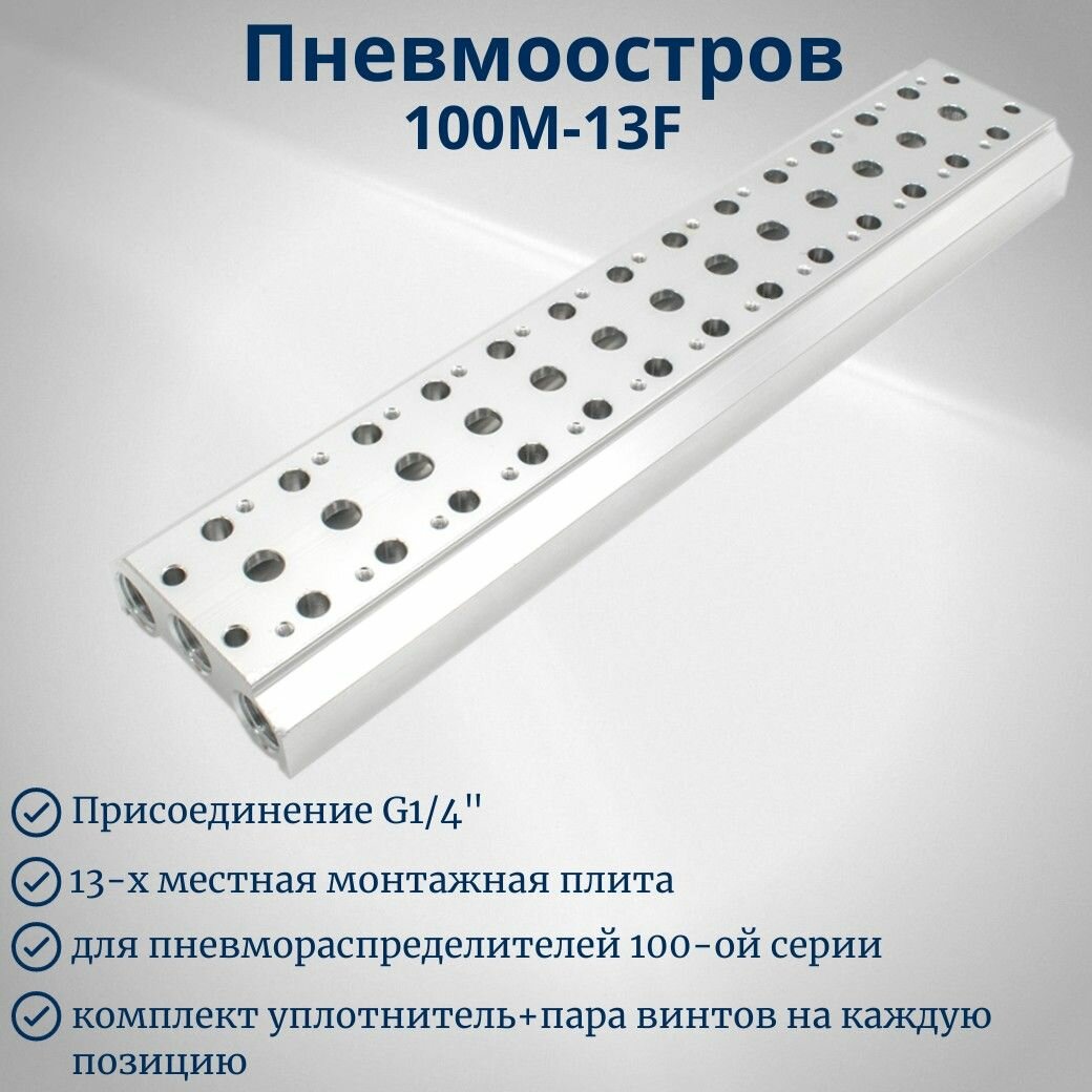 Плита монтажная 100M-13F