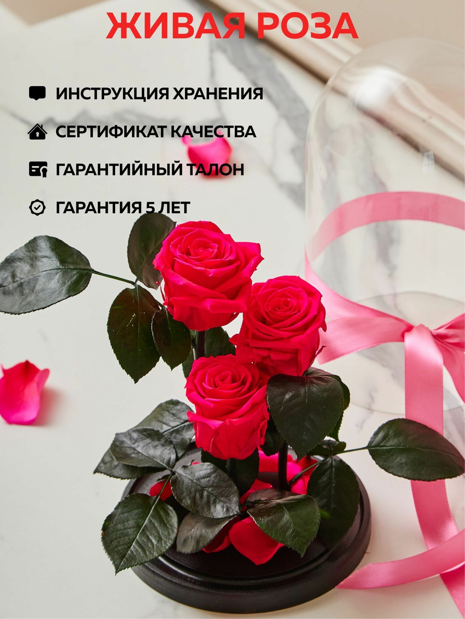 Роза в колбе живая, вечная, стабилизированная PR Light 27см, подарок на 8 марта, на день рождения, на свадьбу, малиновый
