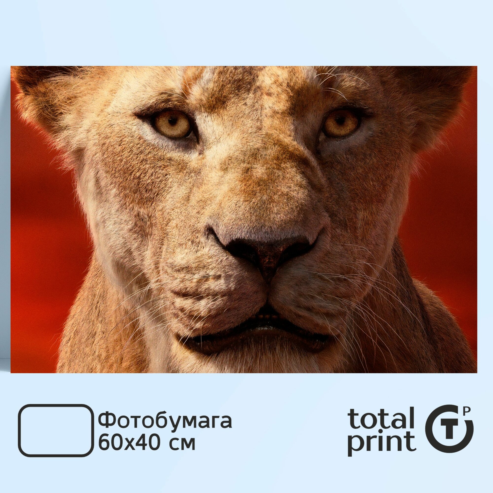 TotalPrint Постер для интерьера, Король Лев, 60х40см.