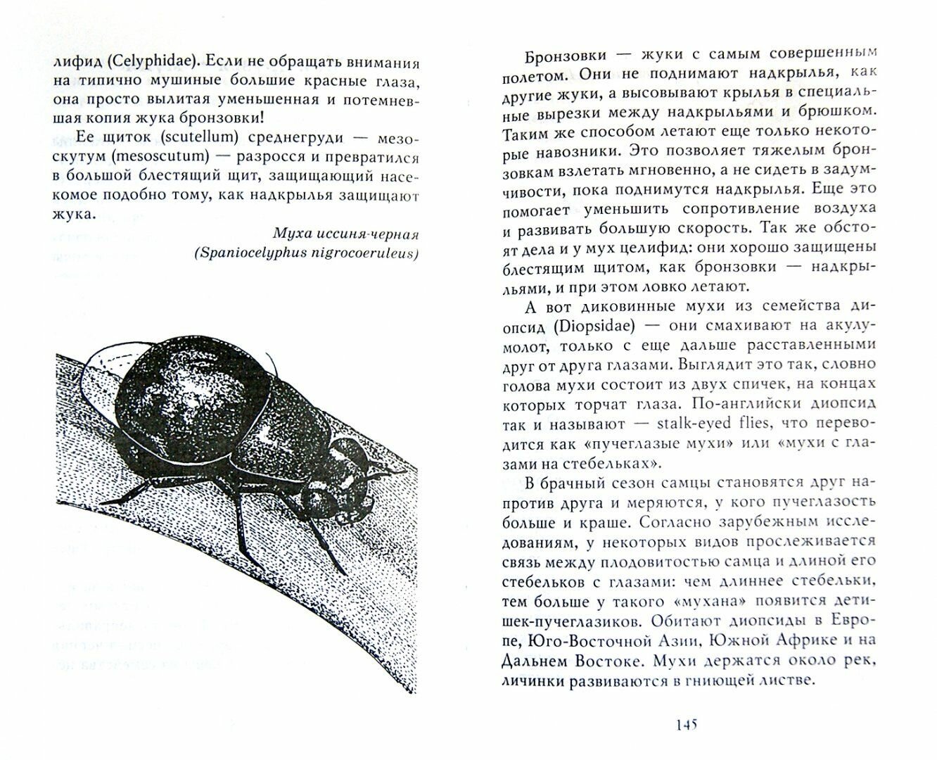 Новые письма насекомых — фото 1