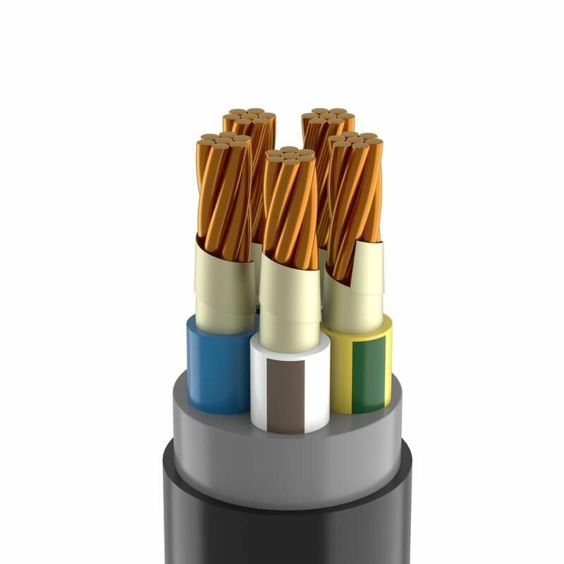 Кабель ППГнг(А)-FRHF 5х50 МК (N PE) 0.66 (м) Кабэкс ТХМ00214543 (3 Метра)