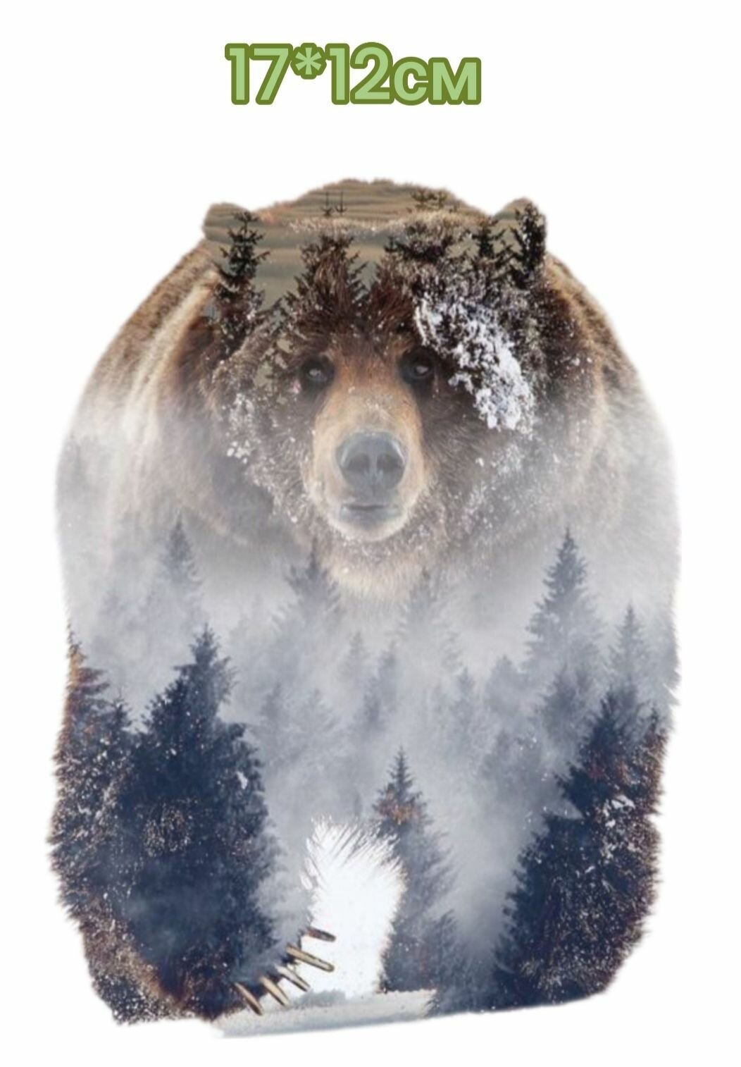 Термонаклейка медведь