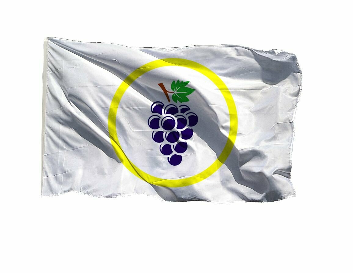 Флаг знамя Республики Дорвинион (War of the Rings) 70х105 см на шёлке для ручного древка