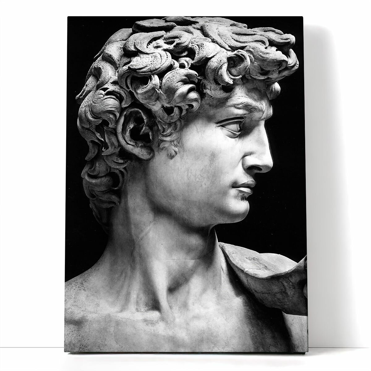 Интерьерная картина на хлопковом холсте/Скульптура Давида, Микеланжедо