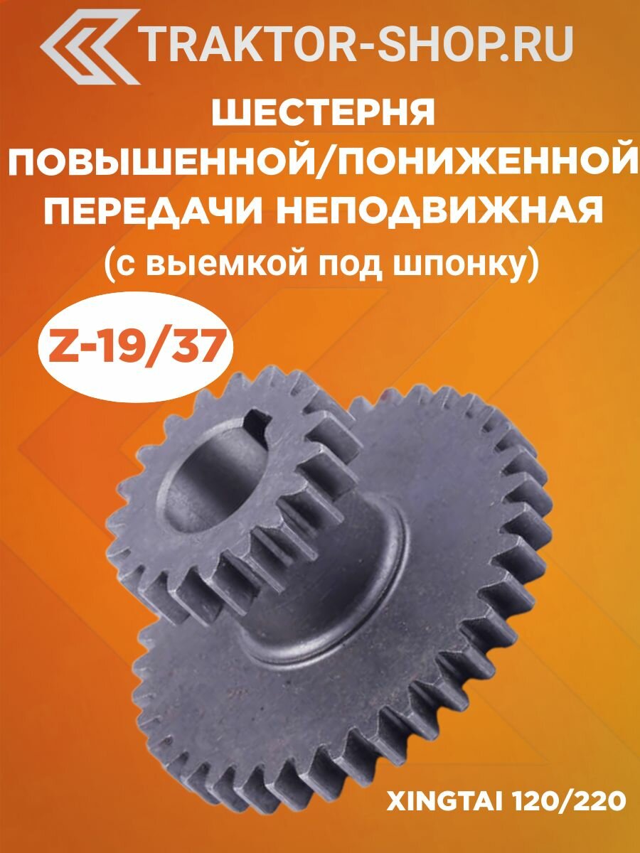 Шестерня повышенной/пониженной передачи неподвижная (с выемкой под шпонку) Z-19/37 Xingtai 120/220