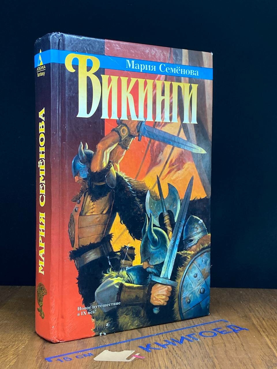 Книга. Викинги 2007 (2044021999064)