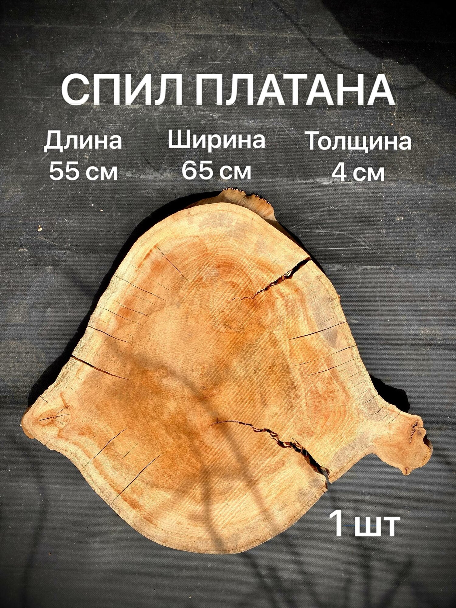 Спил Платана 550х650х40мм 1шт