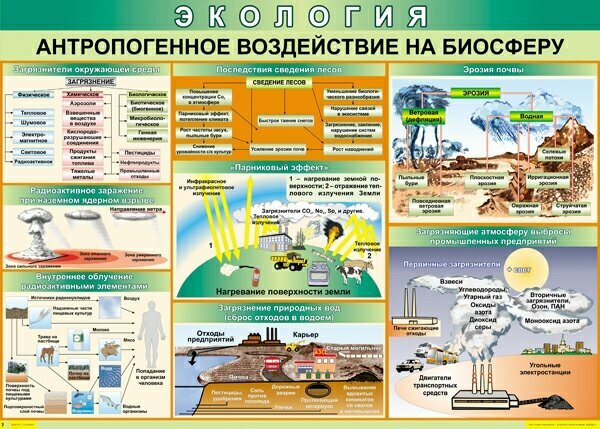 Таблица "Экология: антропогенное воздействие на биосферу" (70х100см, винил)