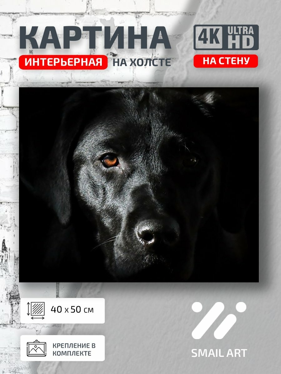 Картина на холсте интерьерная 40 на 50 на стену Лабрадор Animal для кабинета animal style