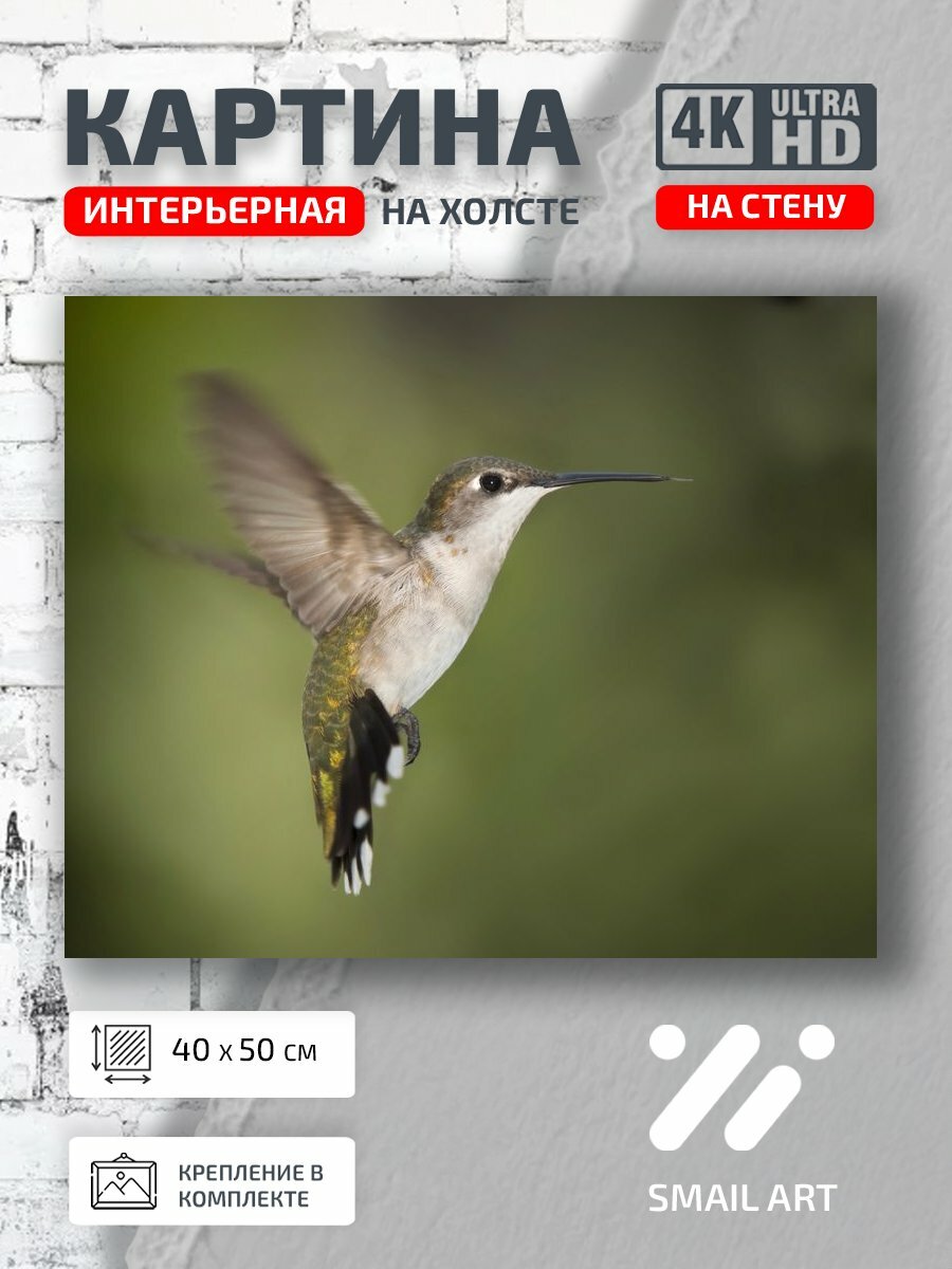 Картина на холсте интерьерная 40 на 50 на стену Колибри Mood для студии атмосфера интерьер