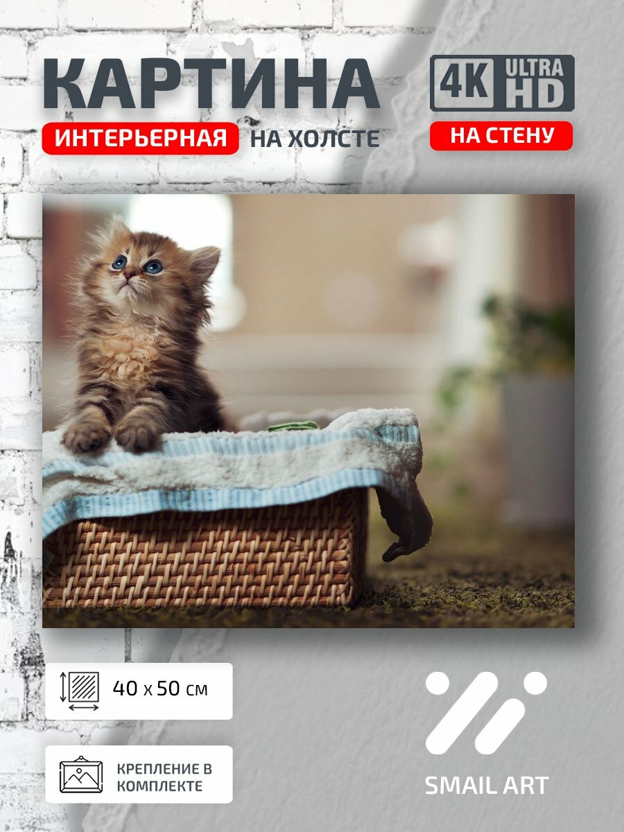 Картина на холсте интерьерная 40 на 50 на стену Корзинки Animal для детской animal style