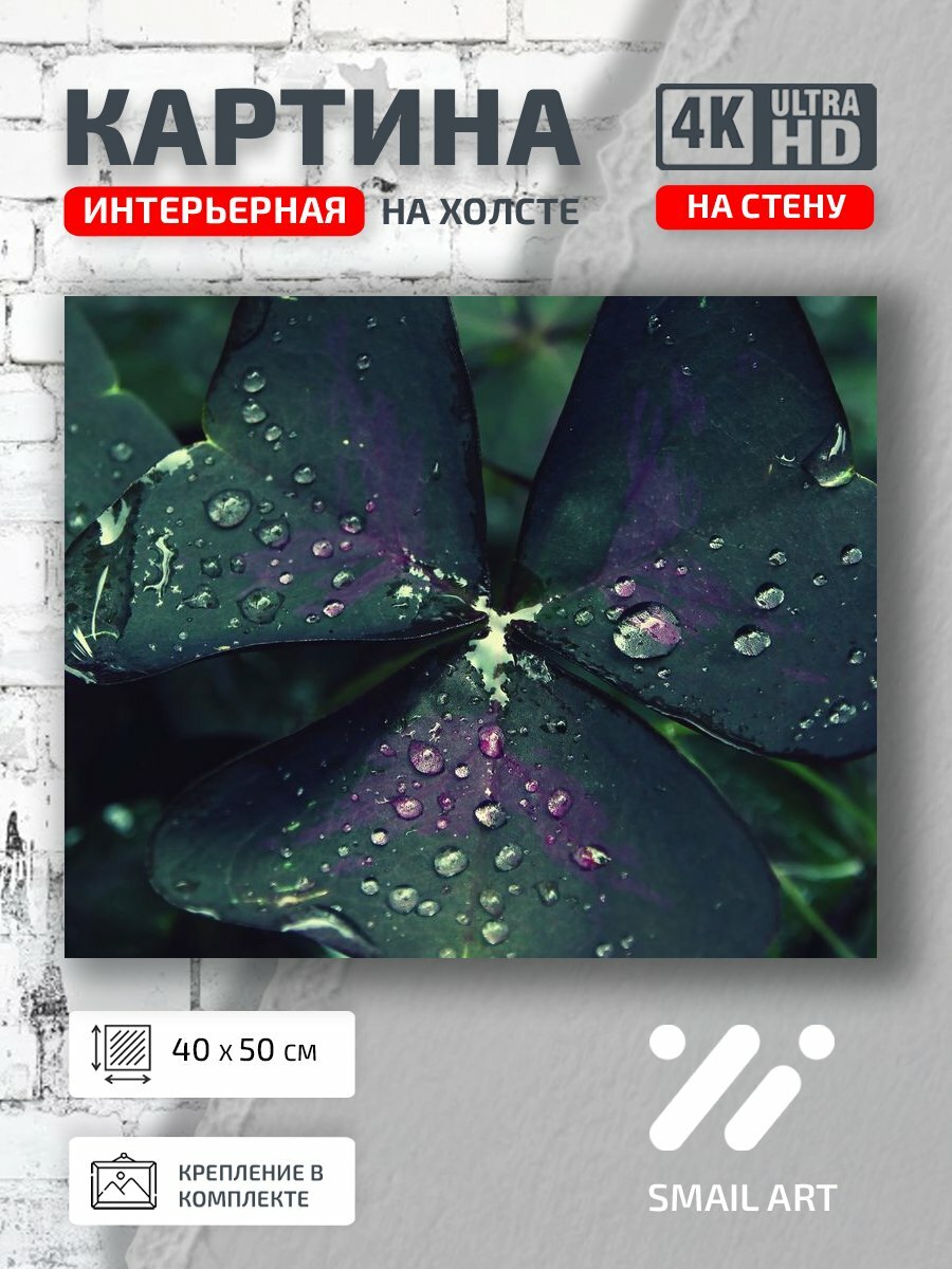 Картина на холсте интерьерная 40 на 50 на стену Капли Landscape для офиса пейзаж интерьер