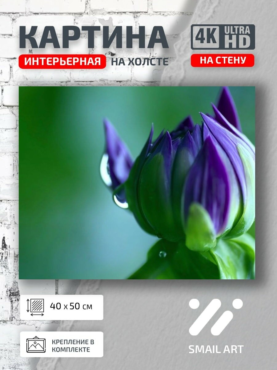 Картина на холсте интерьерная 40 на 50 на стену Фиолетовый тюльпан для студии атмосфера