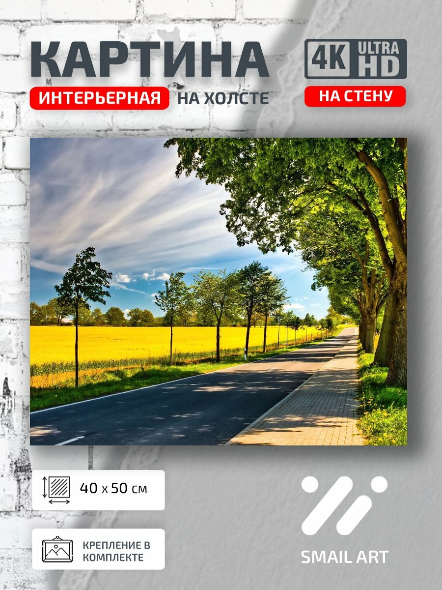Картина на холсте интерьерная 40 на 50 на стену Дорога Landscape для кафе пейзаж интерьер