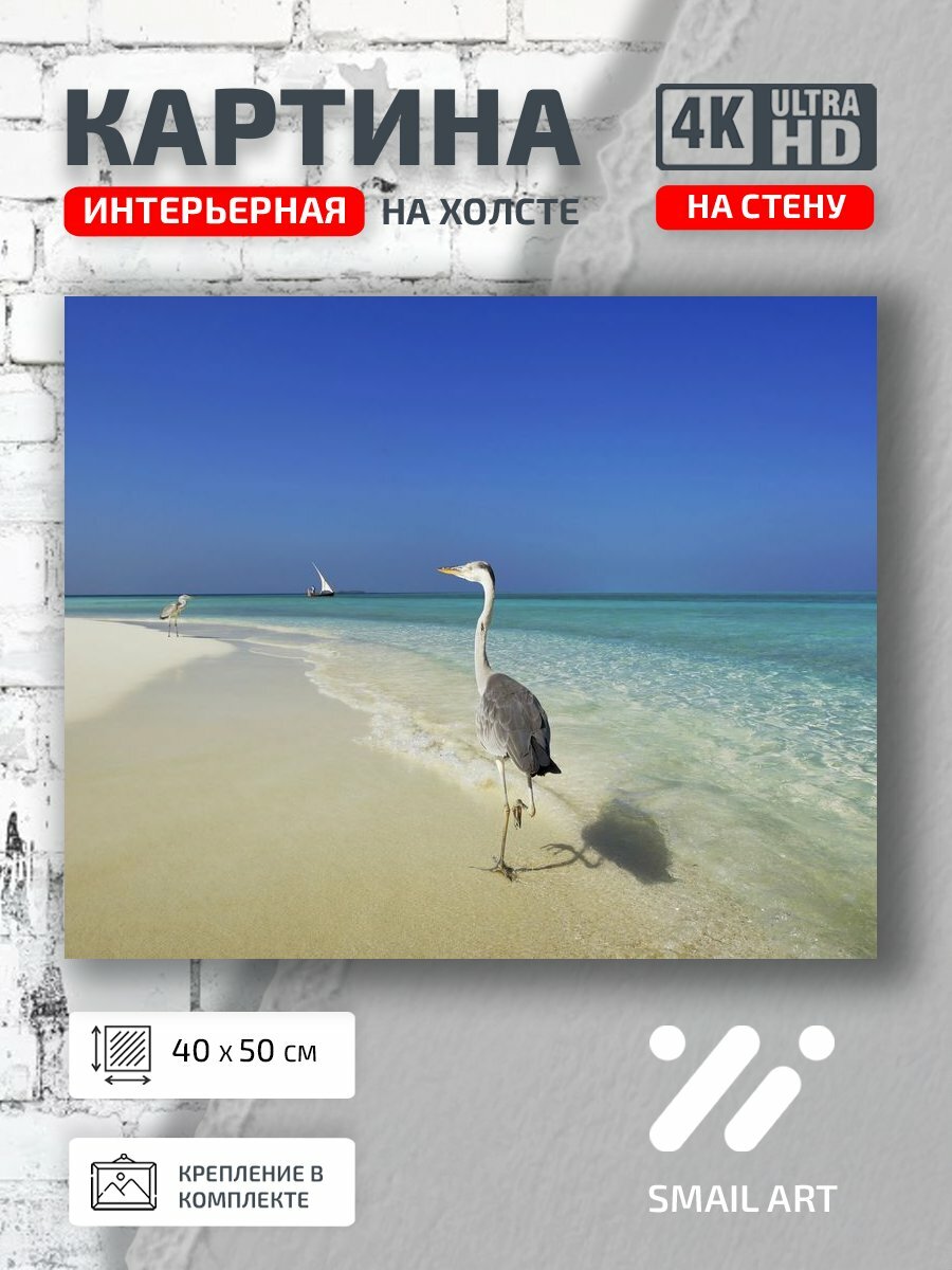 Картина на холсте интерьерная 40 на 50 на стену Мальдивах Landscape для кафе пейзаж декор