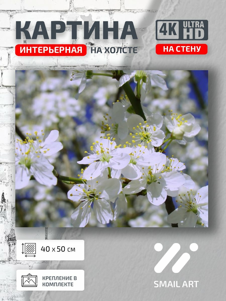 Картина на холсте интерьерная 40 на 50 на стену Цветы Landscape для спальни пейзаж интерьер
