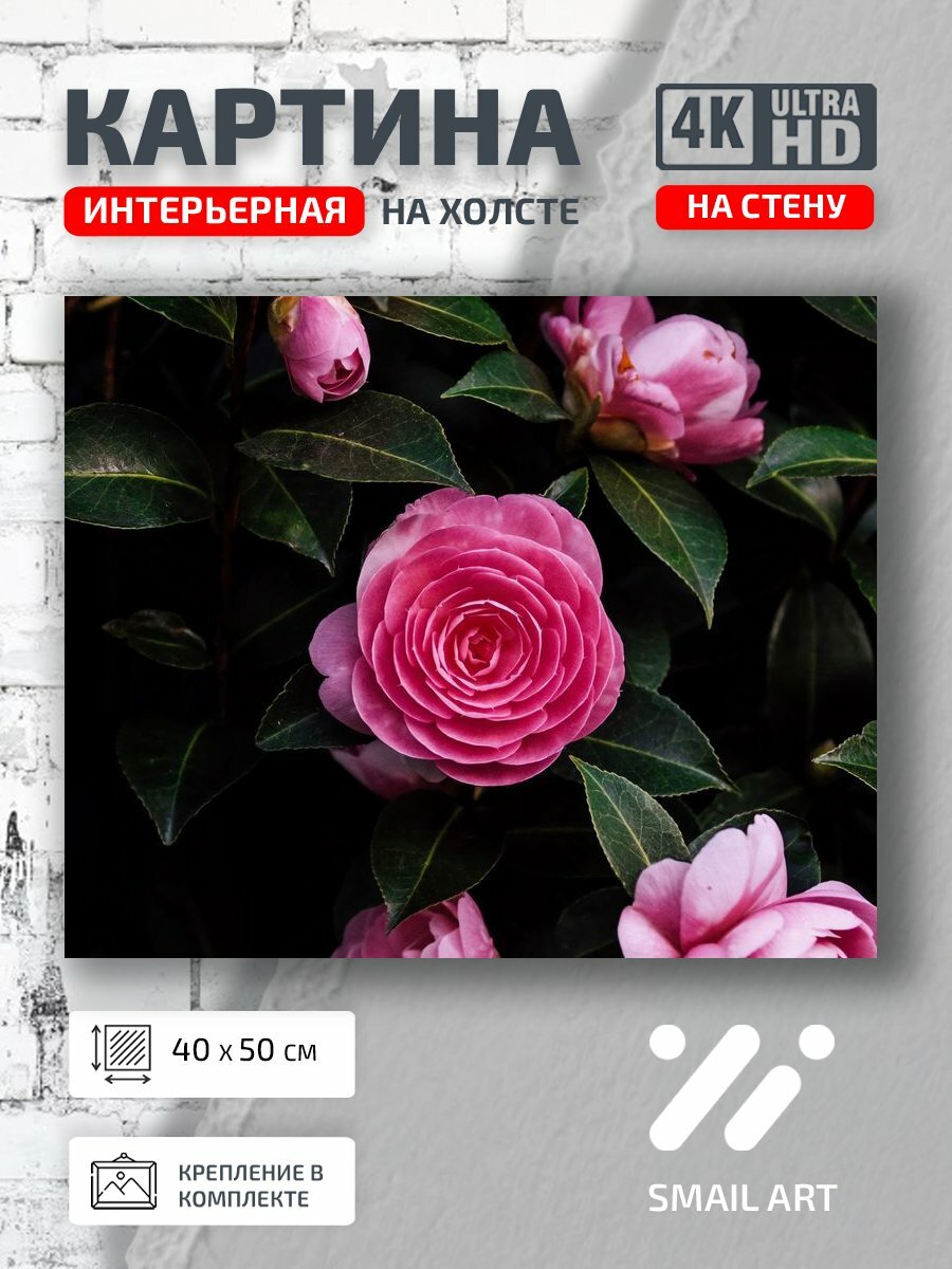 Картина на холсте интерьерная 40 на 50 на стену Бутон Mood для кабинета атмосфера интерьер