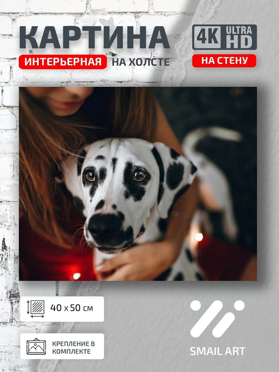 Картина на холсте интерьерная 40 на 50 на стену Животные далматинец для студии атмосфера