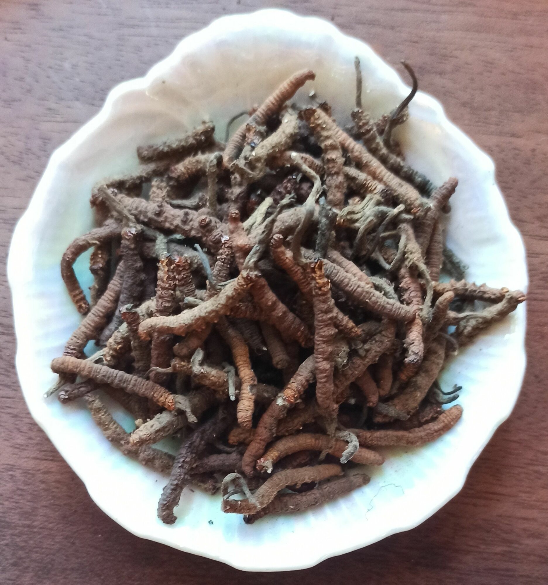 Гриб сушеный Ярсагумба Кордицепс Синенсис. 10 грамм. Натуральный. Непал. Гималаи. Сбор 2024 года.