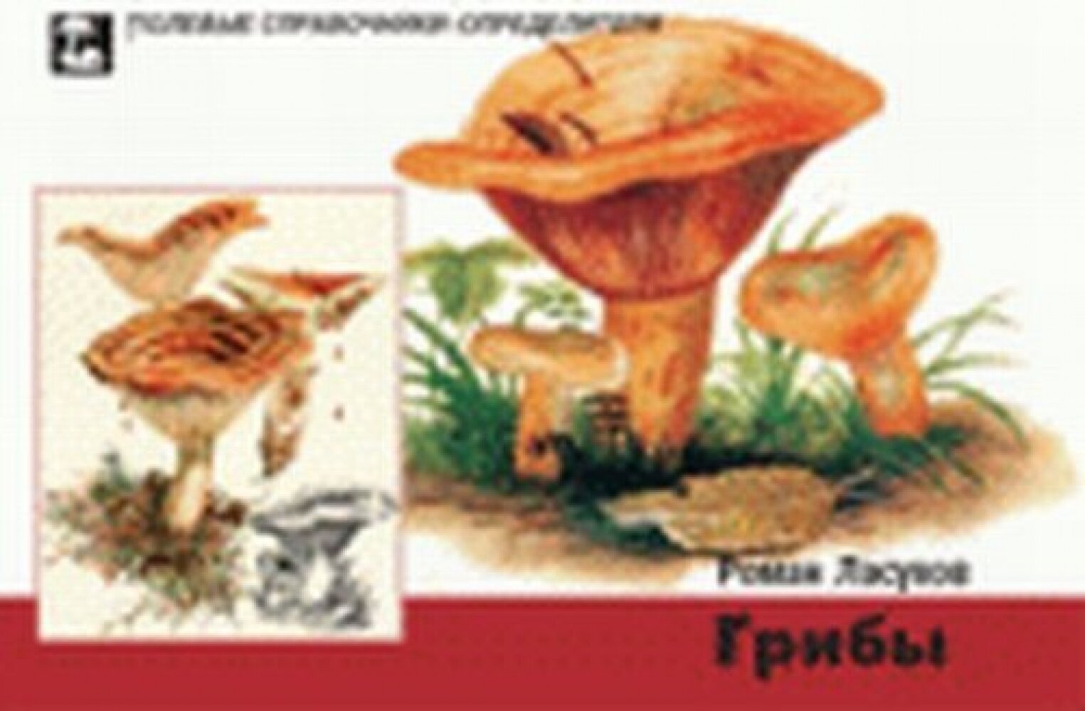 Грибы. Карманный полевой справочник-определитель