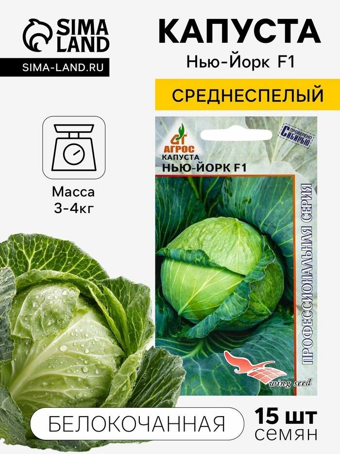 Семена Капуста белокочанная Нью-Йорк , F1, 15 шт, Агрос