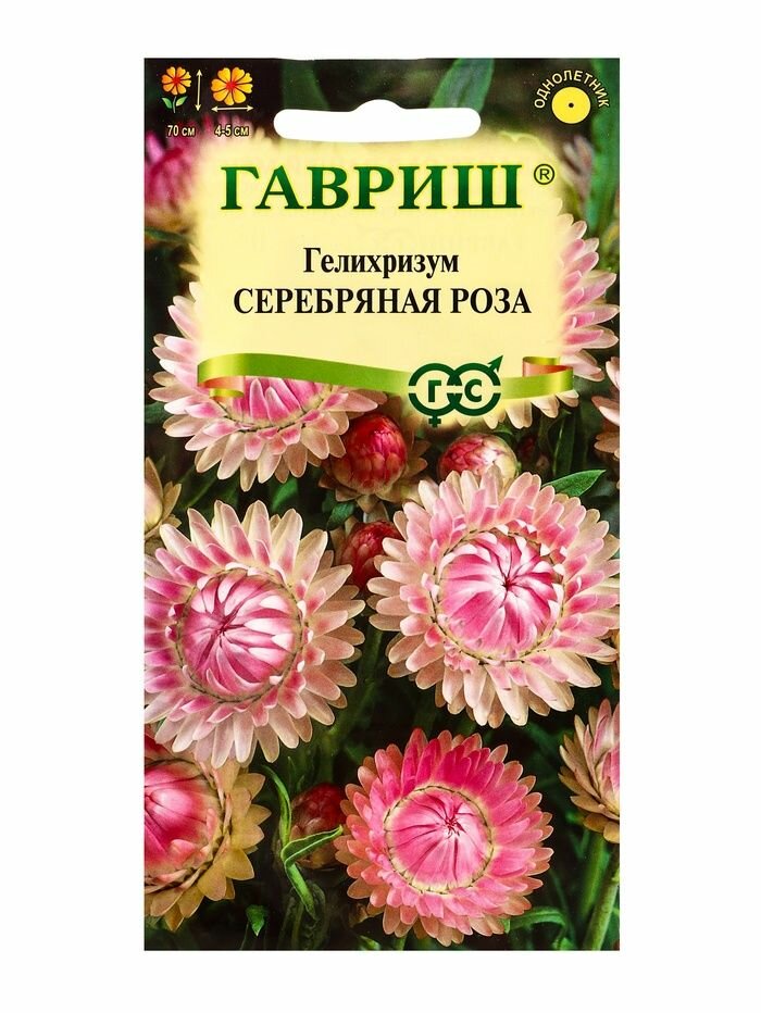 Семена цветов Гелихризум Серебряная роза* 0,01 г DH