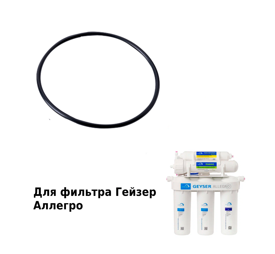 Уплотнительное кольцо для корпуса 10 SL фильтра Гейзер Аллегро (1 шт.)