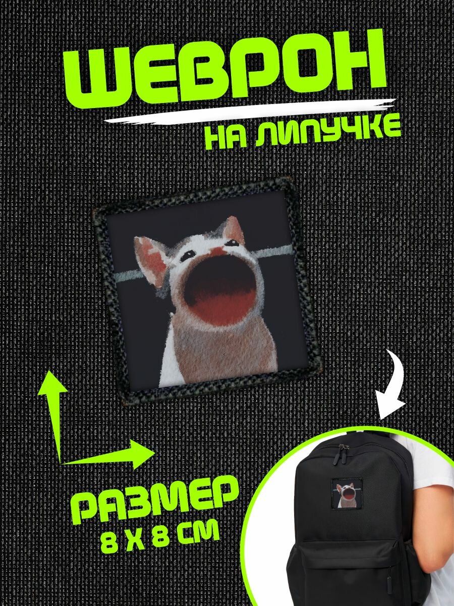 Шеврон на липучке нашивка кот кричит