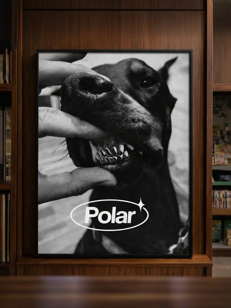 Постер в стиле стритвир / Плакат Доберман собака интерьерная печать