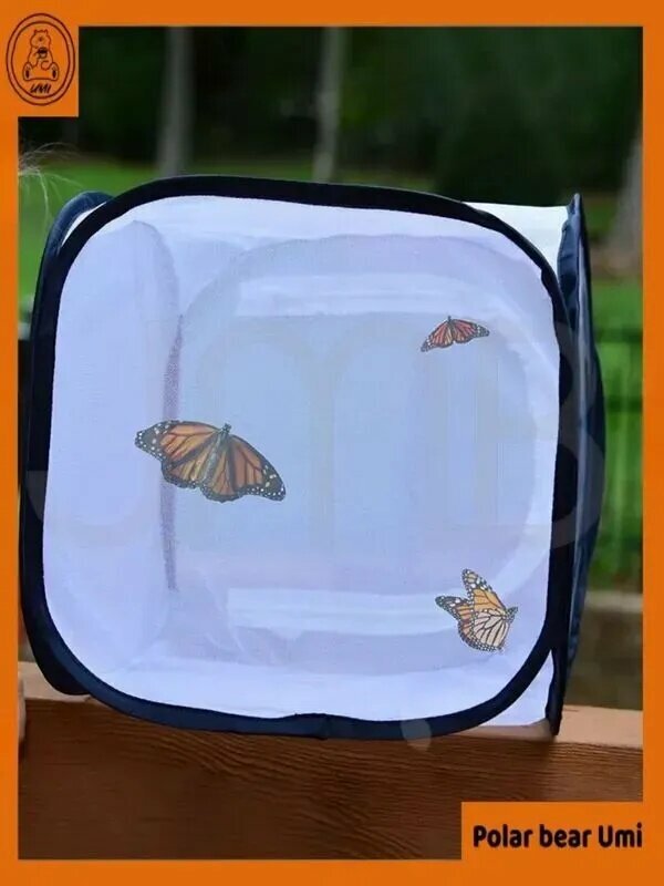 Ферма Бабочек Для Выращивания