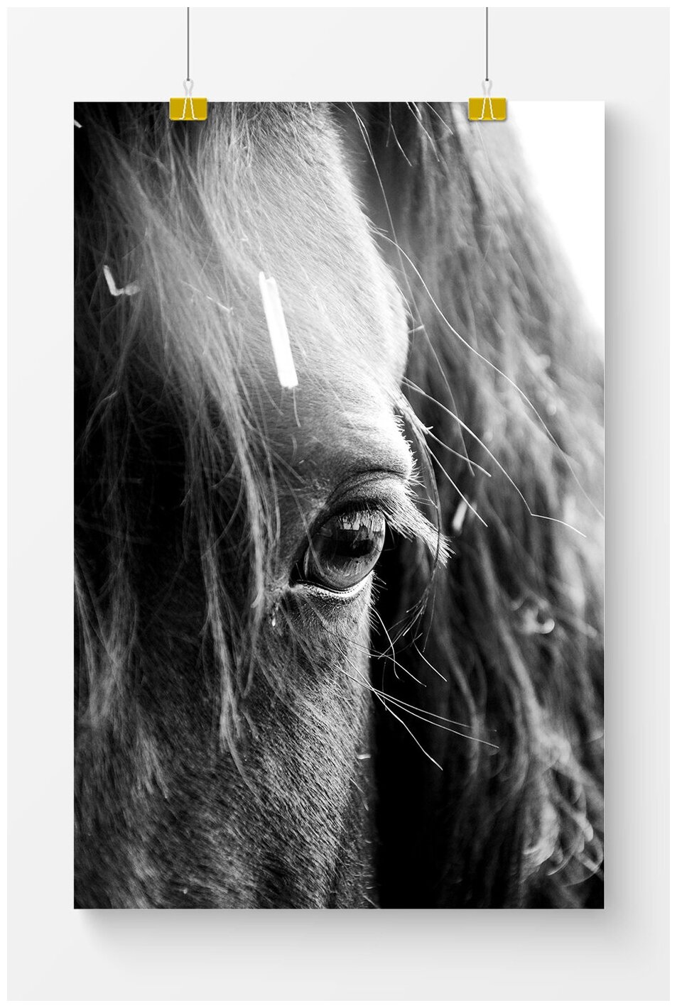 Постер на стену для интерьера Postermarkt Черно белая голова лошади, 70х100 см