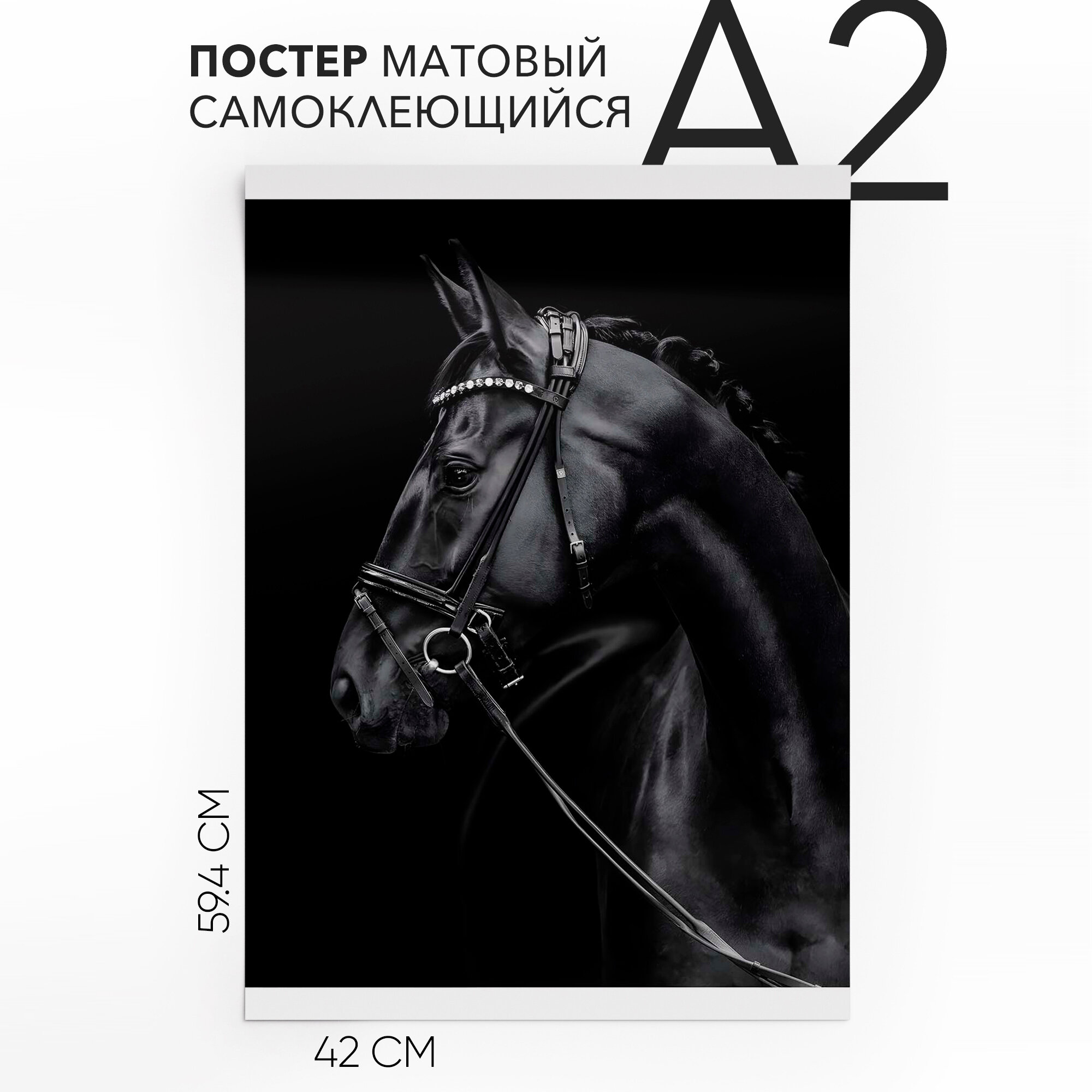 Постер настенный самоклеящийся, большой A2 Черная лошадь, влагостойкий, для декора