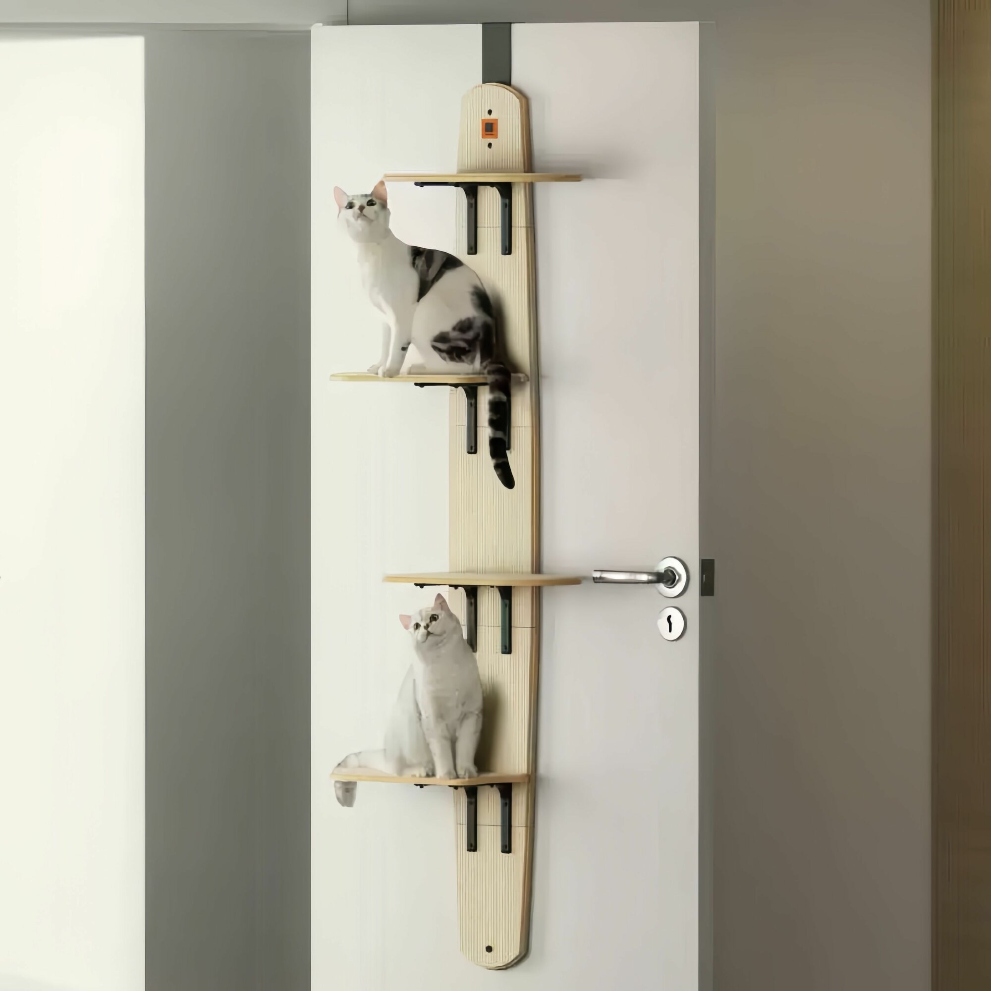 4-уровневая деревянная полка для кошек, вертикальное дерево, устойчивая конструкция на дверь