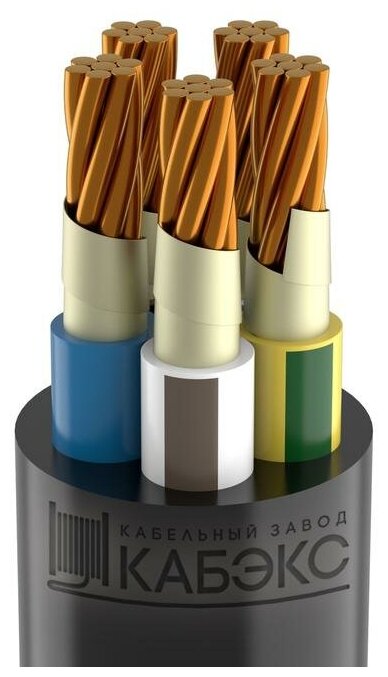 Кабель ВВГнг(А)-FRLS 5х50 МК (PE) 1кВ (м) Кабэкс ТХМ00217933