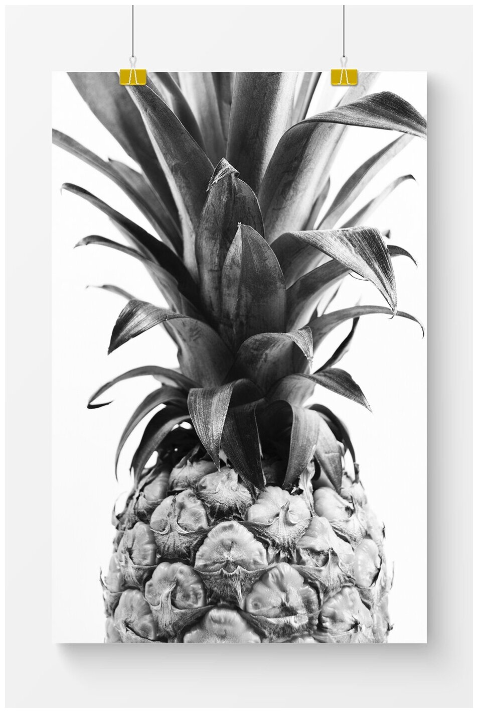 Постер для интерьера Postermarkt Черно-белый ананас, 40х50 см, в тубусе