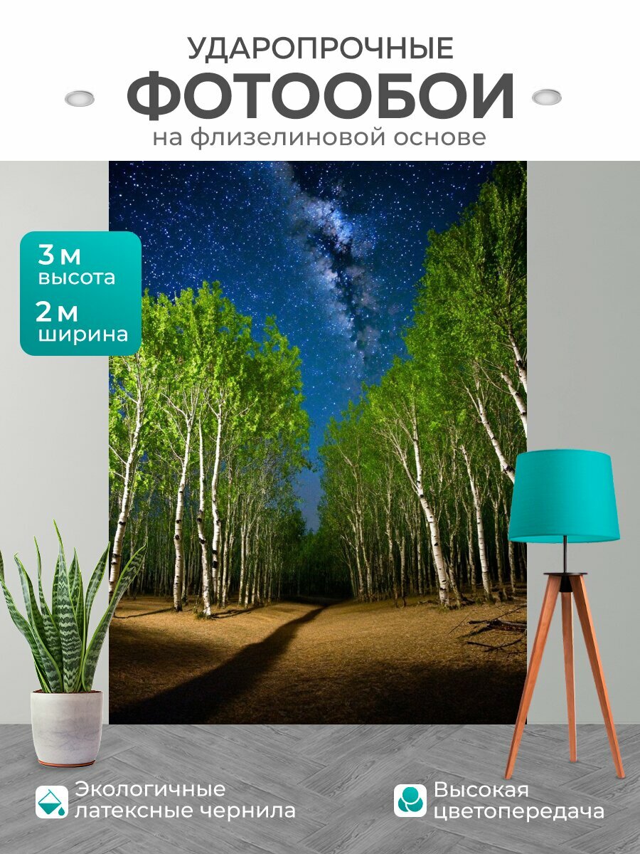 Фотообои моющиеся ударопрочные "Березовая роща ночью с яркими звездами" 200x300 см. флизелиновые на стену