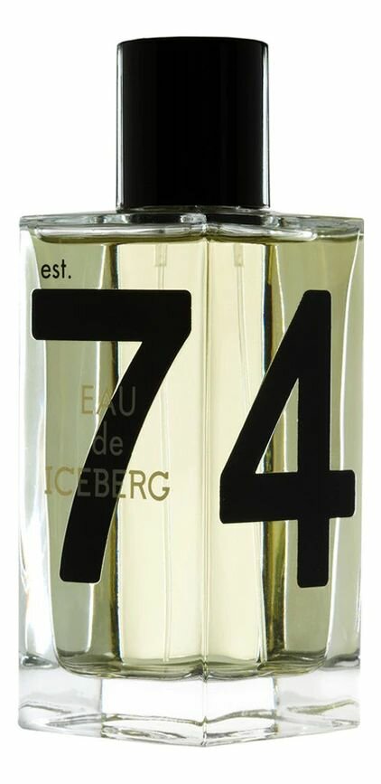 Iceberg Eau De Pour Homme Туалетная вода для мужчин 100 ml