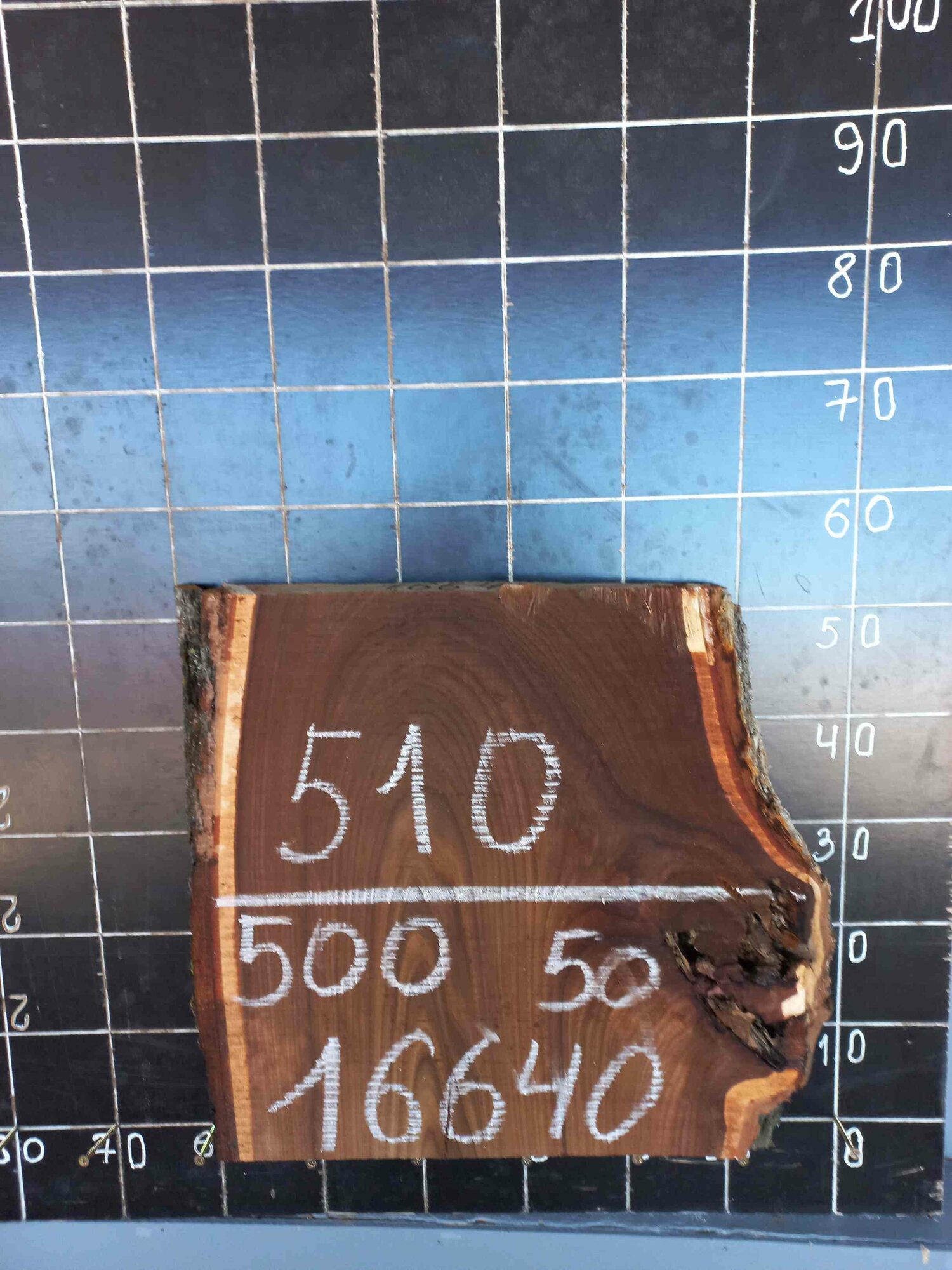 Слэб Доклес №16640 Карагач, для столешниц и подоконников, антисептический, 50х51 см