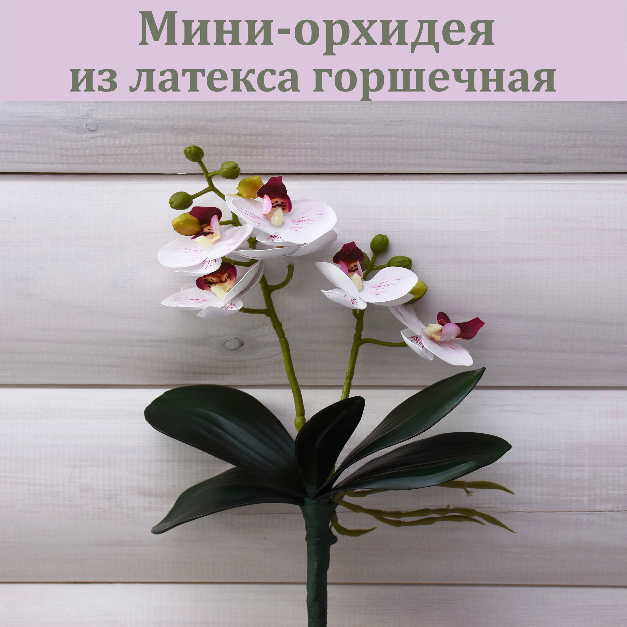 Мини-орхидея горшечная из латекса / Реалистичный искусственный цветок / Орхидея из латекса
