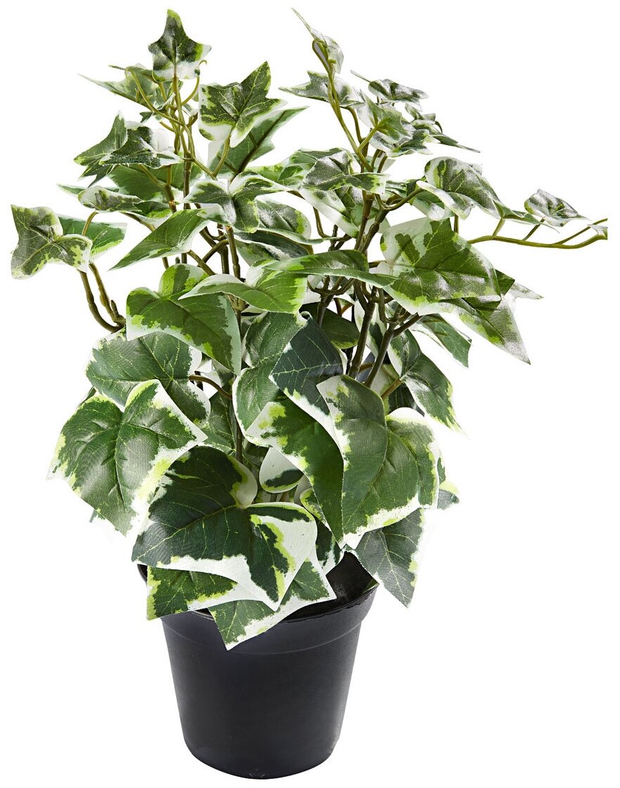 Декоративное искусственное растение "Плющ"