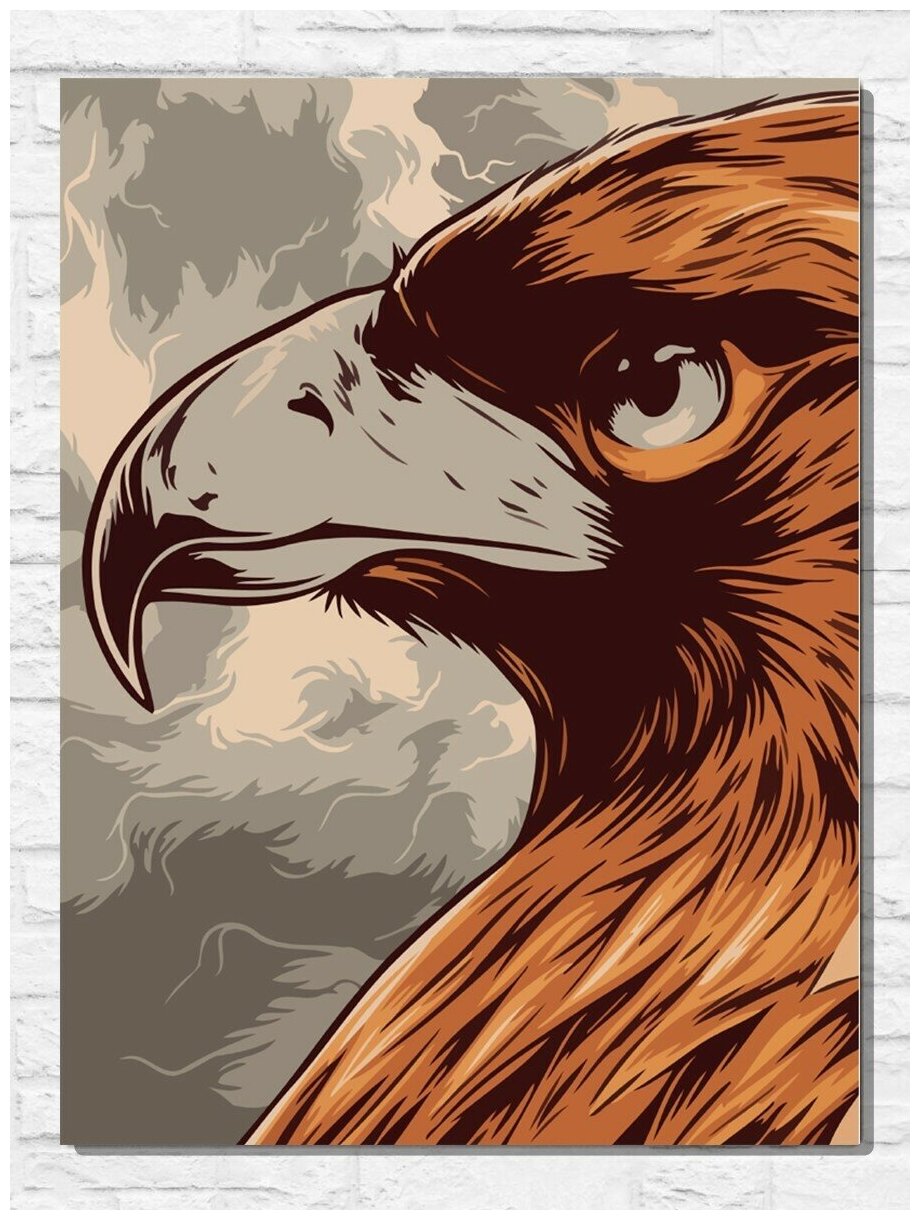 Картина по номерам на холсте красочная орёл (сокол) - 9221 В 30x40